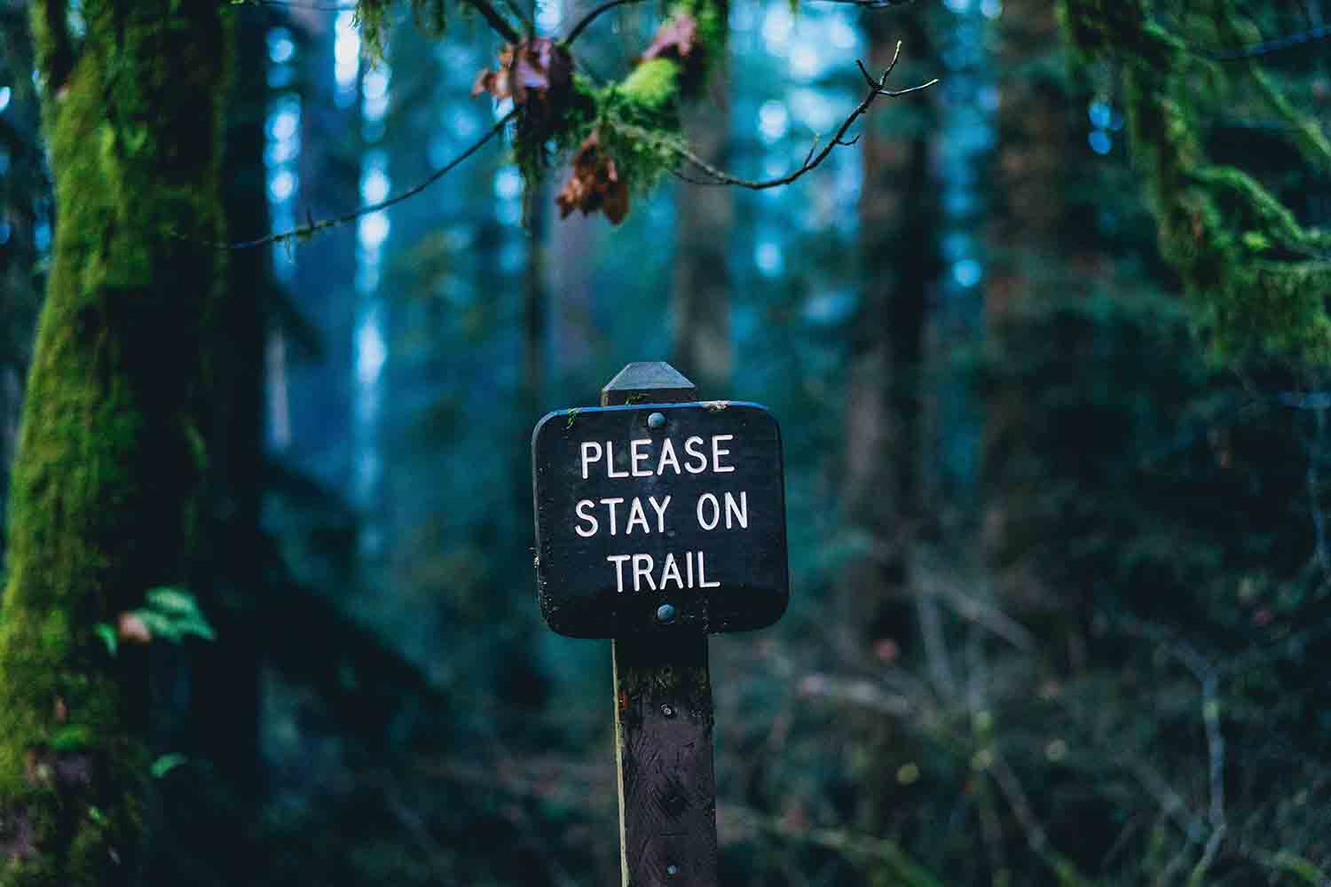 The 3 Magic Words For Both Personal And Relationship Growth The 3 Magic Words For Both Personal And Relationship Growth